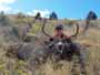 MonsterMuleys.com - Mule Deer, Elk and Western Big Game Hunting